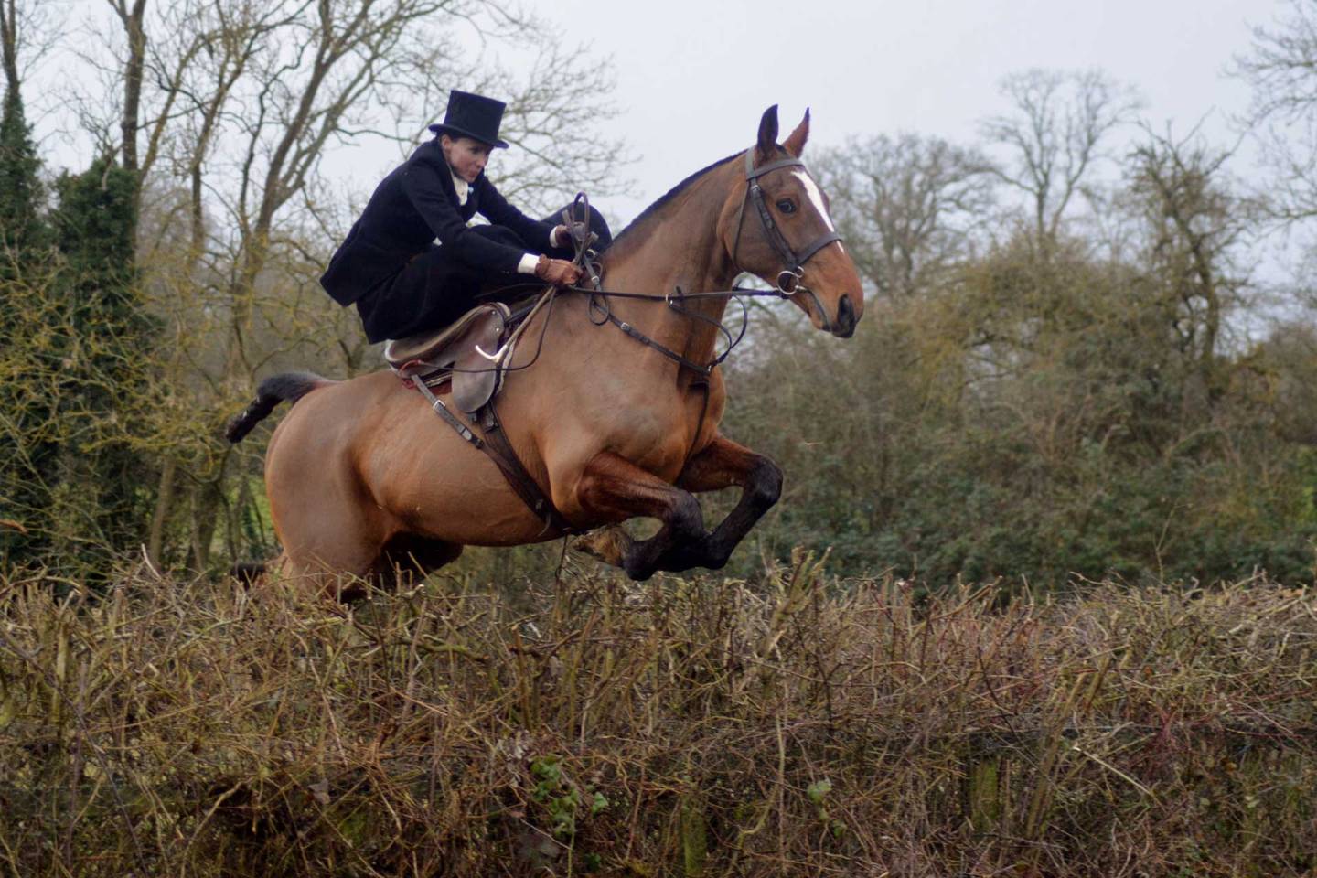 The Bicester Hunt with Whaddon Chase side-saddle meet - Martha Sitwell ...