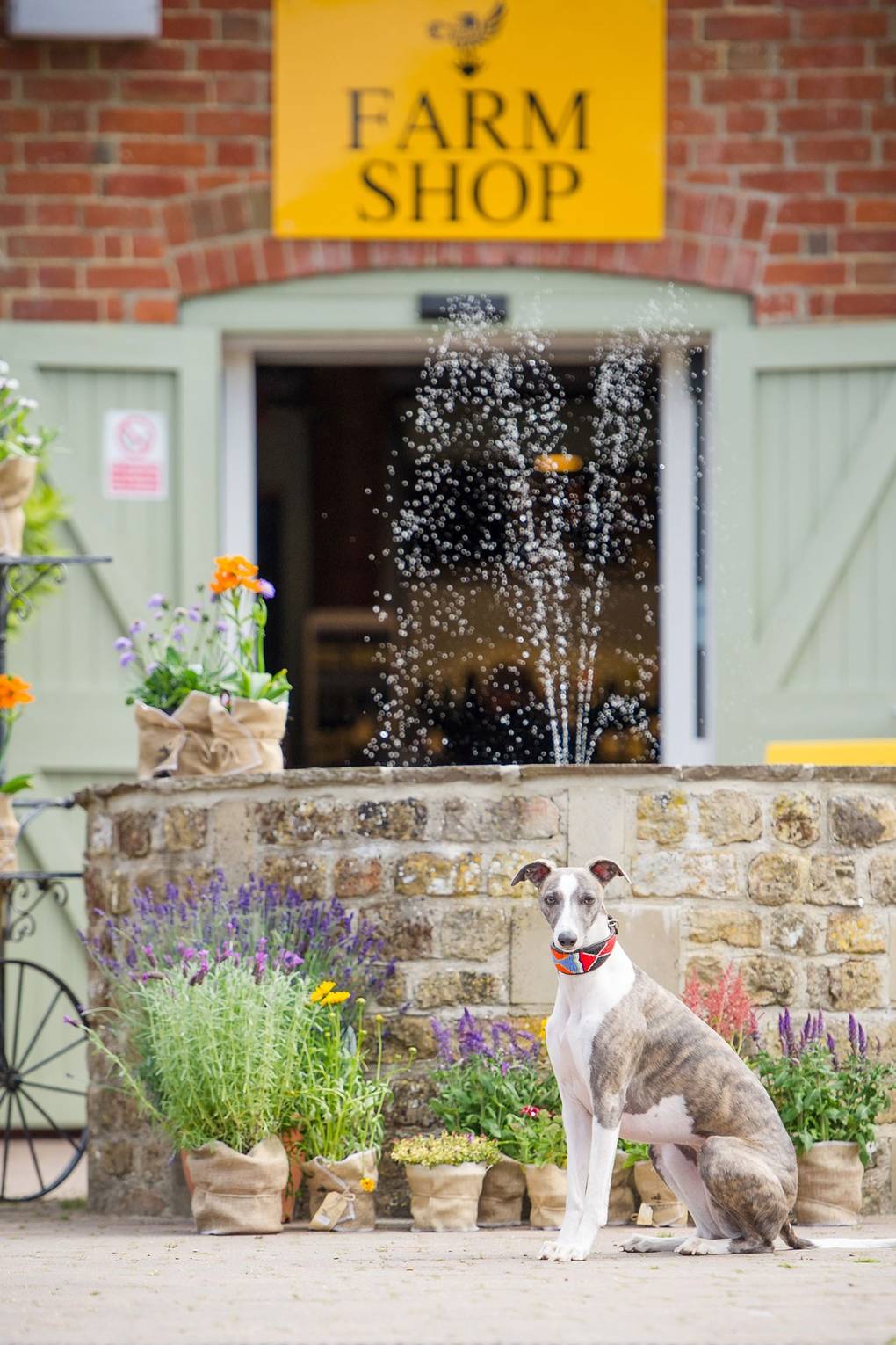 The best farm shops in the UK | Tatler