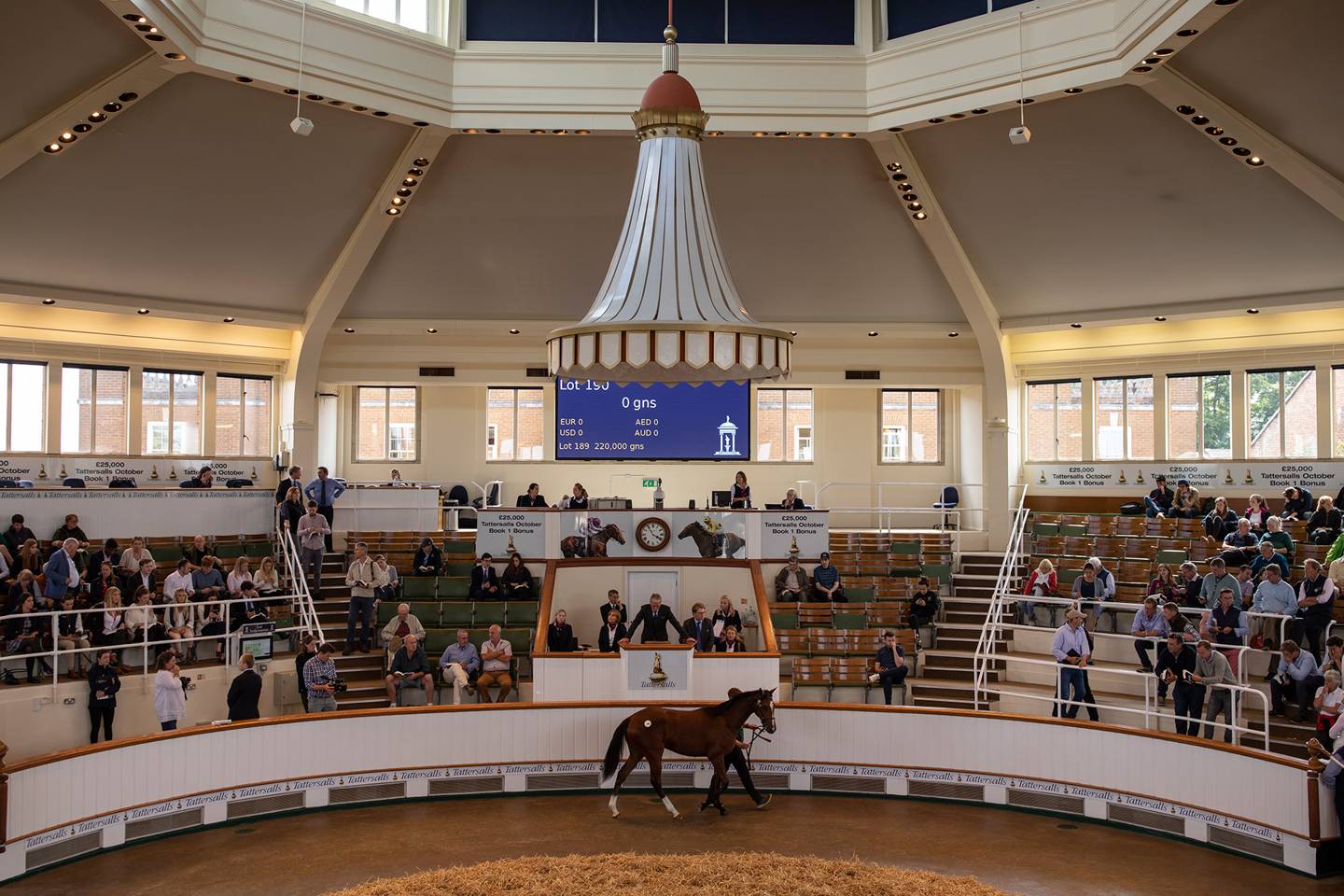 Everything you need to know about Tattersalls | Tatler