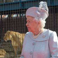 The queen looking unimpressed - Queen Elizabeth II image gallery ...