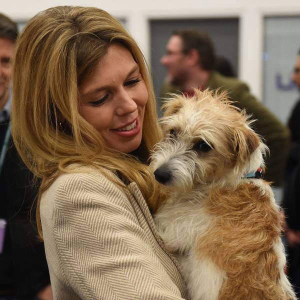 Dilyn the dog Downing Street pets history | Tatler