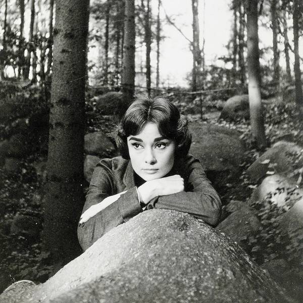 Audrey Hepburn sale | Tatler