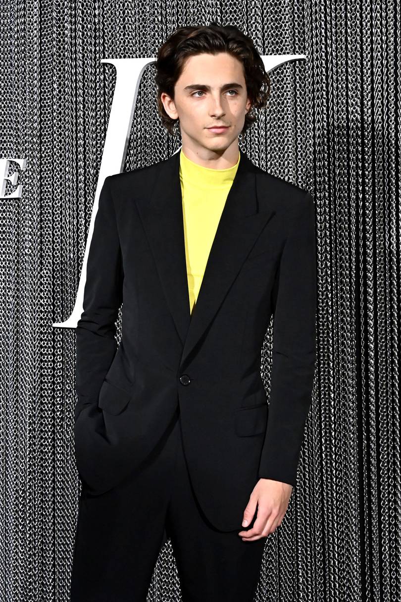 Timothée Chalamet to make London stage debut at the Old Vic | Tatler
