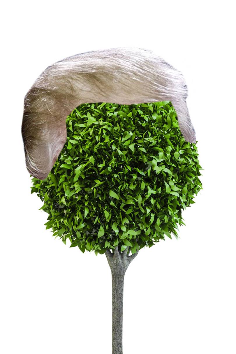 Pubic hair styles: how do you style your public hair | Tatler