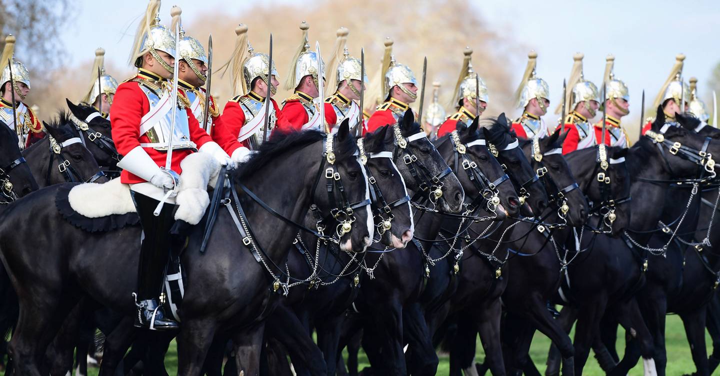 250 Horses of the Household Cavalry enjoy summer break in ...