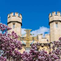 Where to see the spring blooms in London | Tatler