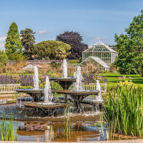 Cambridge insider guide: Where to go & what to see | Tatler
