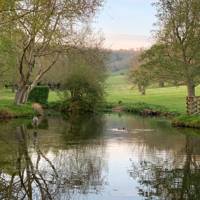 Wortley gardens virtual tour | Tatler