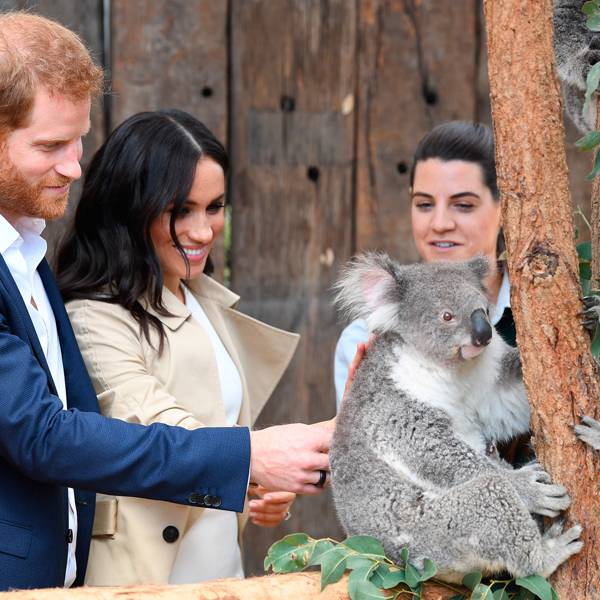 Prince Harry Meghan Markle cute photos | Tatler