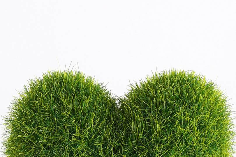 Pubic hair styles: how do you style your public hair | Tatler