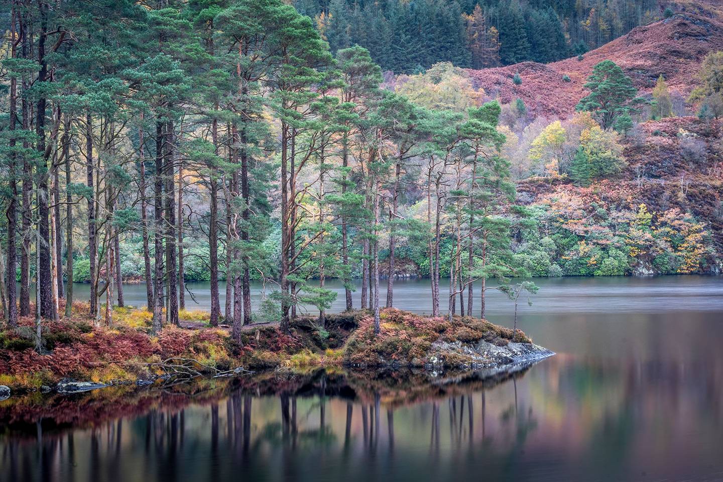 Most beautiful UK forests autumn trees leaves | Tatler