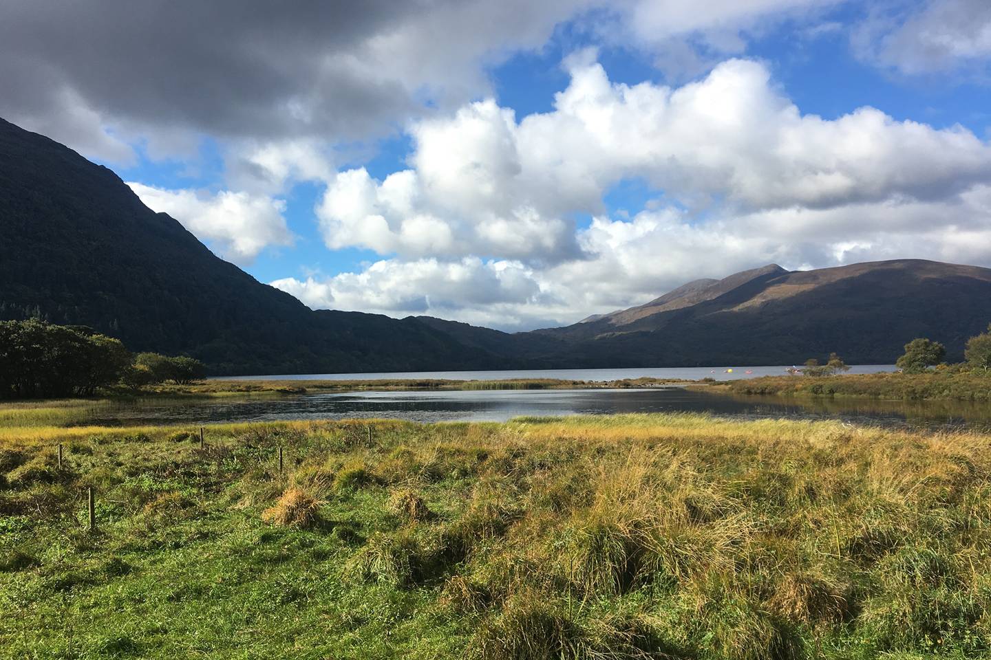 Eddy Downpatrick Southwest Ireland guide | Tatler