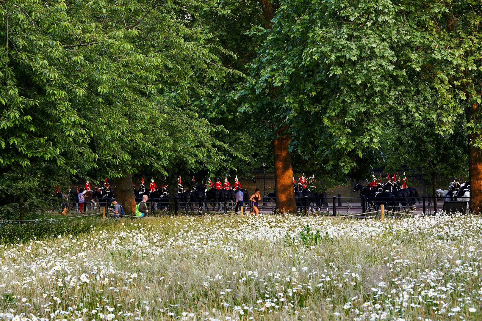‘Wildflowers for The Queen: A Visual Celebration of Britain’s ...