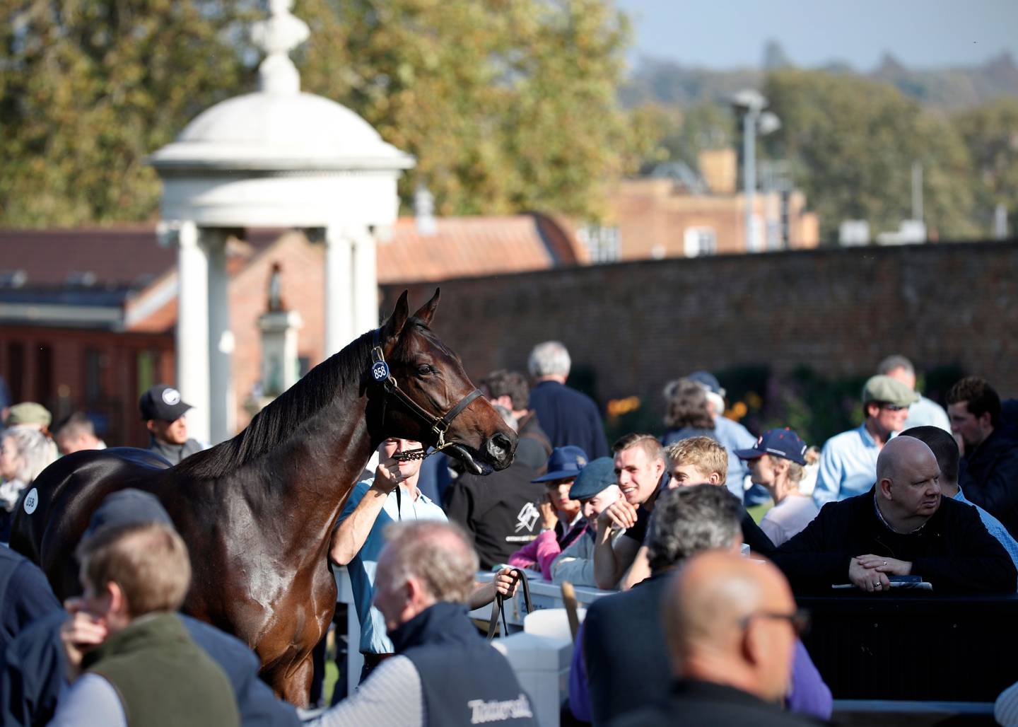 Everything you need to know about Tattersalls | Tatler